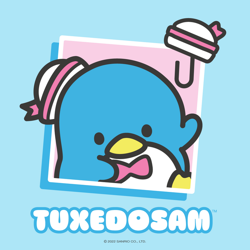 Sanrio Blogs