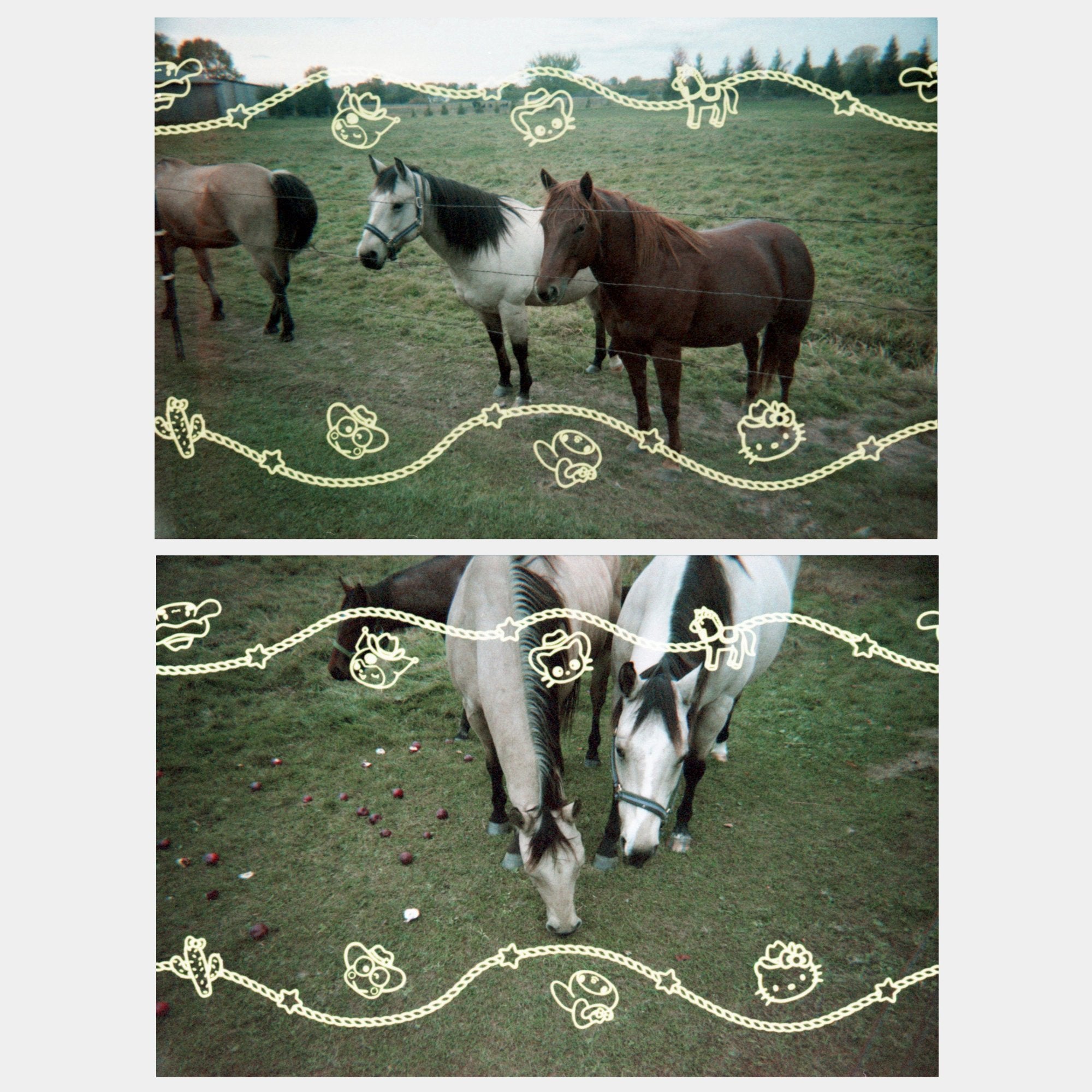 Hello Kitty and Friends Howdy Partner 35mm Special Border Film