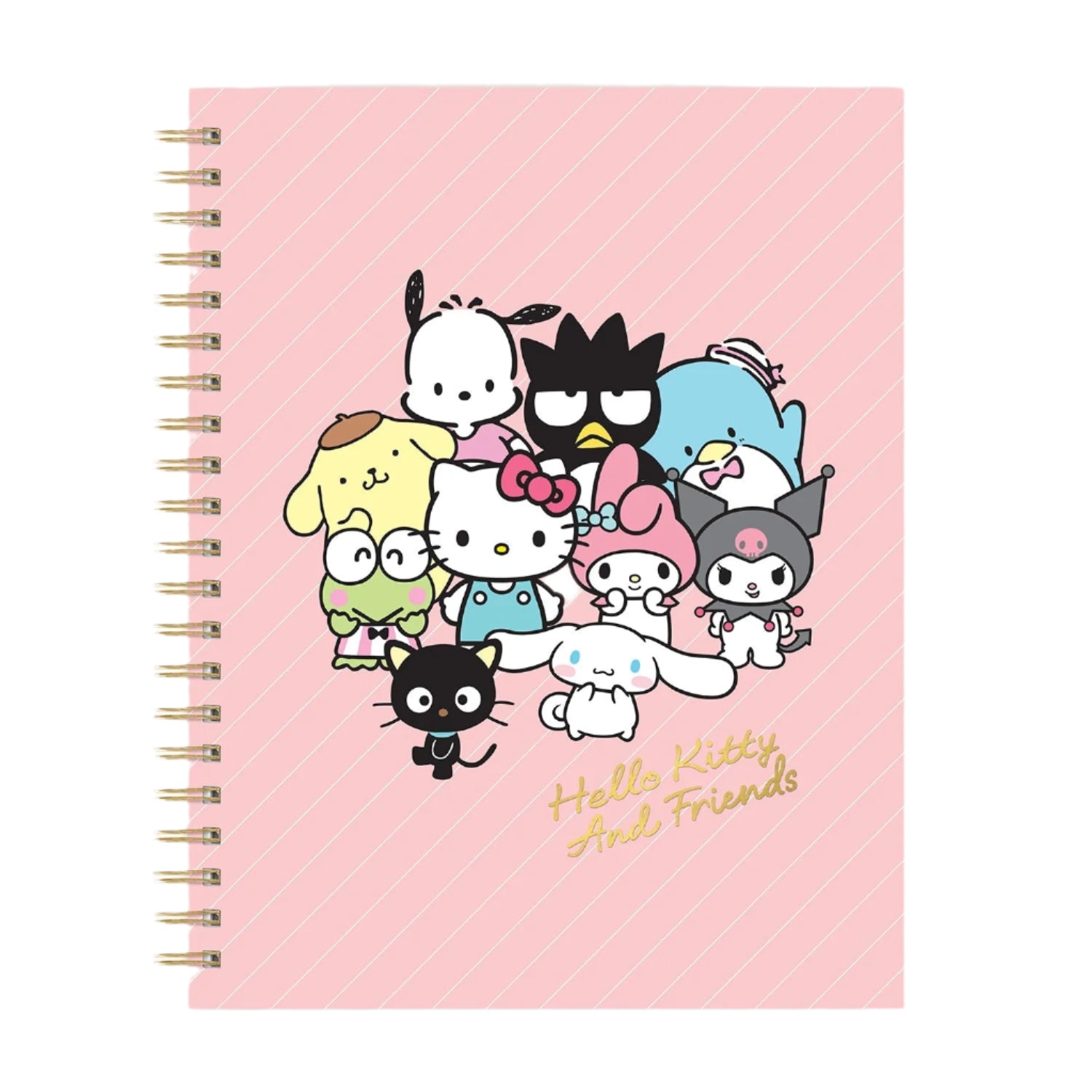 Hello Kitty and Friends x Studio Oh! Pink Pinstripe Extra-Large Spiral